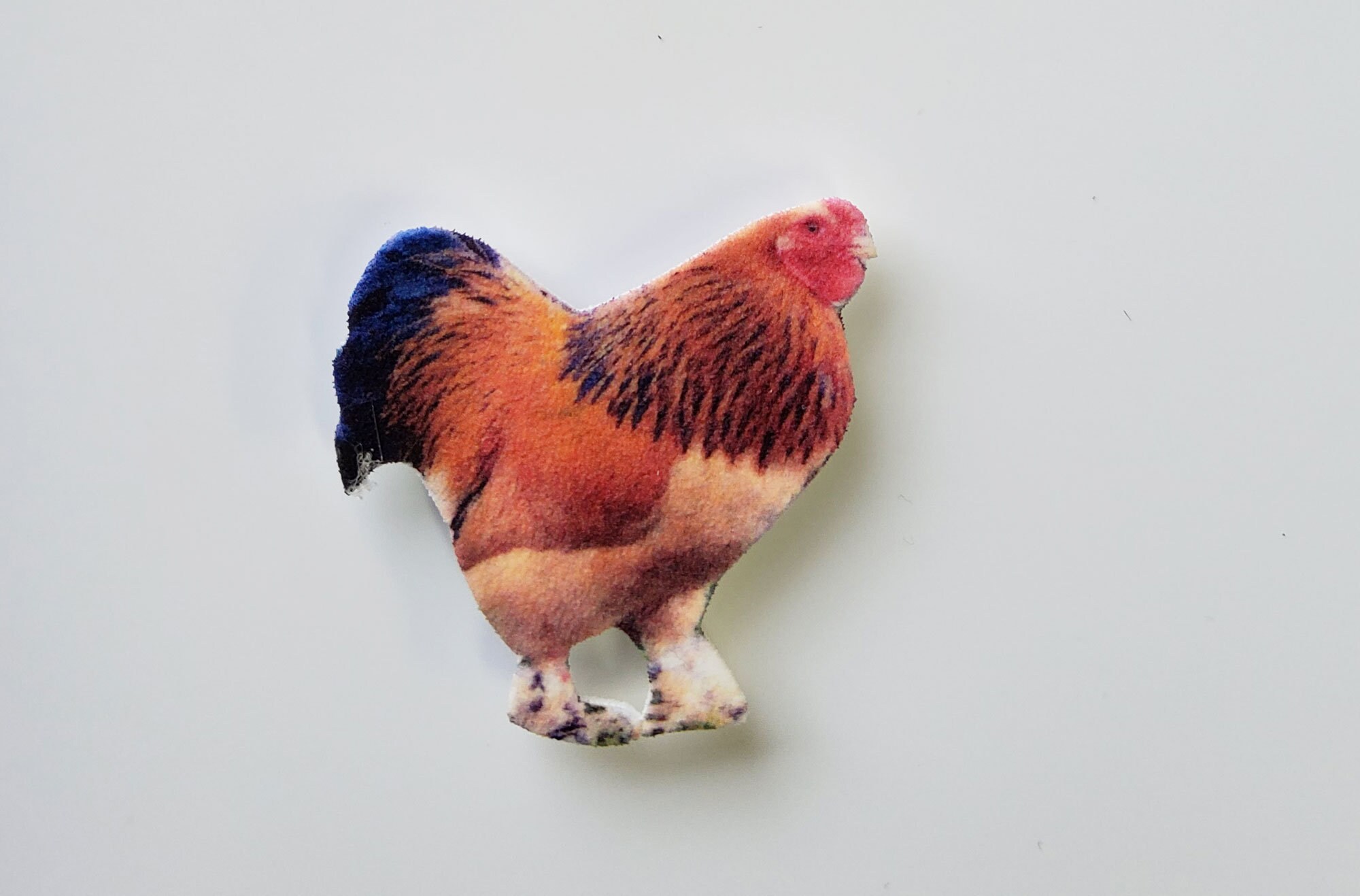 Farm Animals #2 Magnets - Set of 5 - Etsy