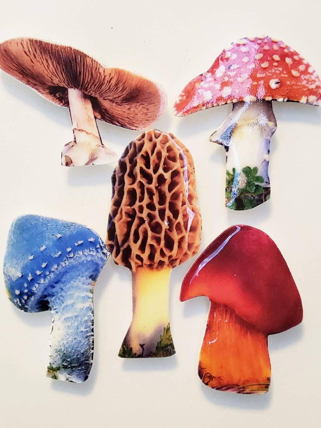 Mushroom Magnets #100 - Set of 5 - Etsy