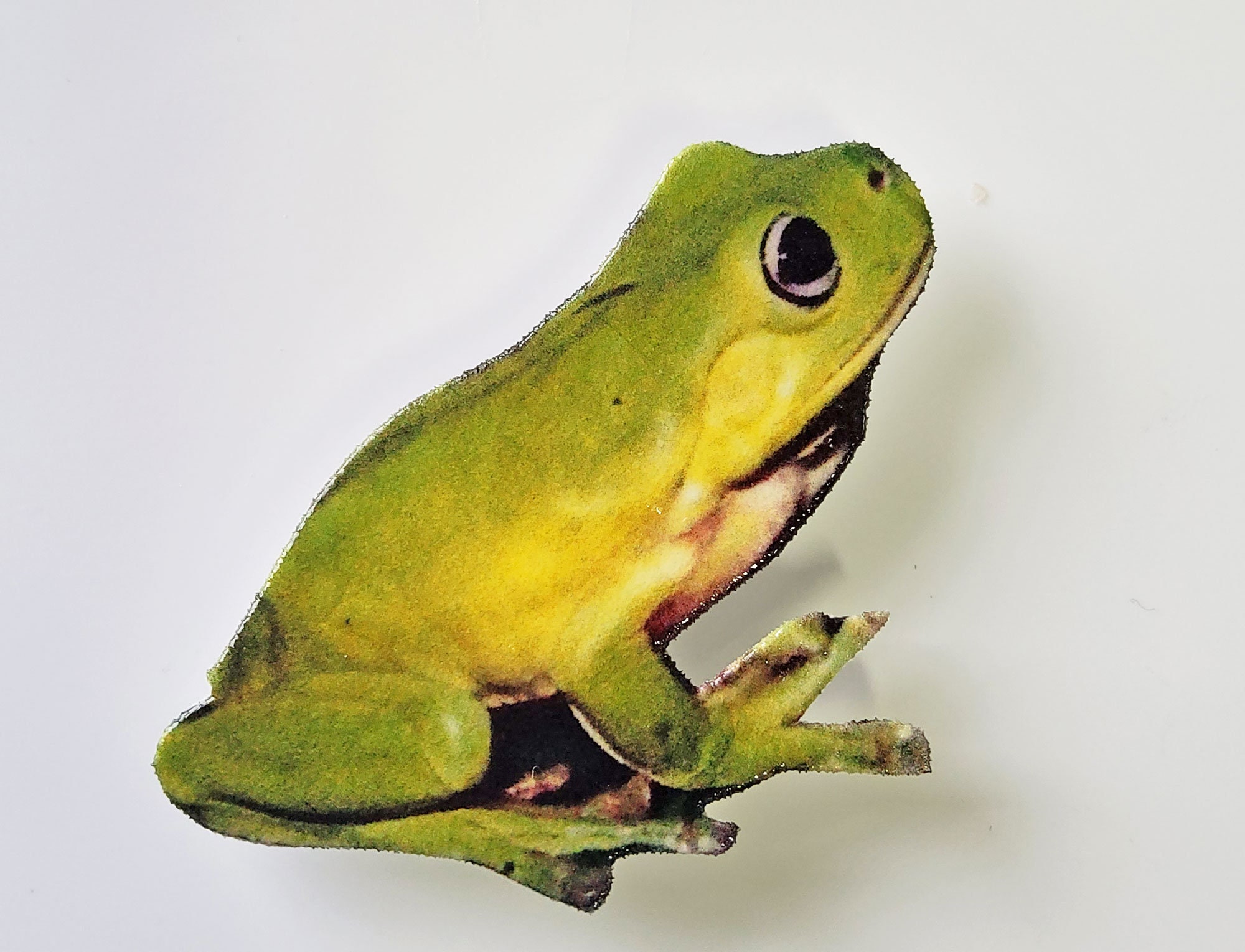 Frogs #2 Magnets - Set of 6 - Etsy