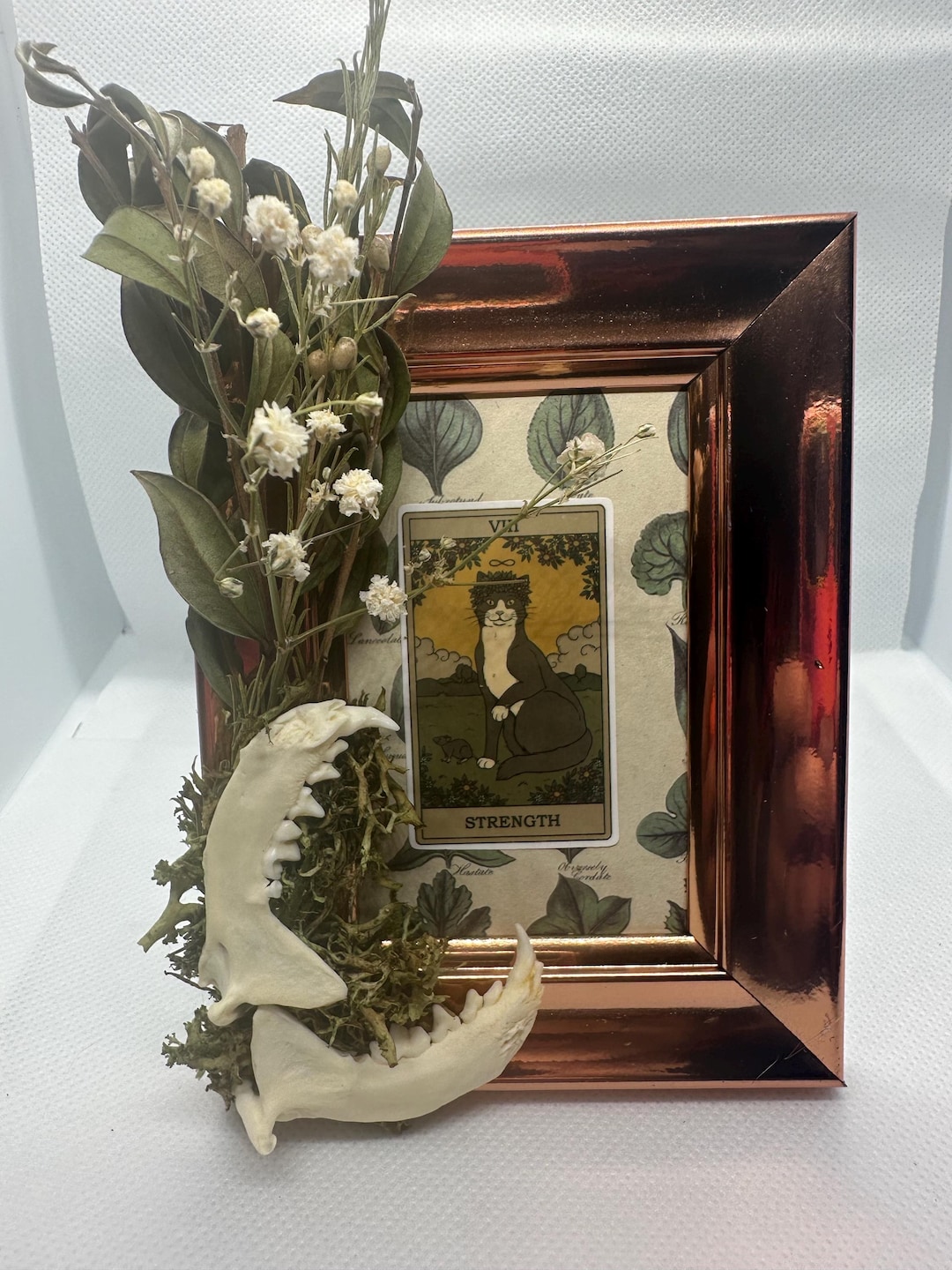 Real Weasel Jaw Bones on Tarot Frame With Real Flowers and Moss - Etsy
