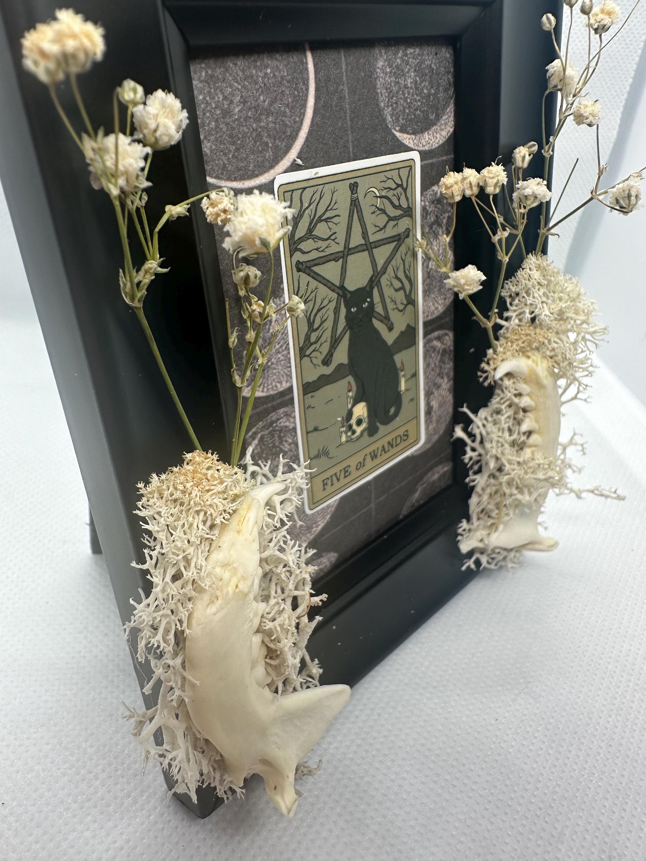 Real Weasel Jaw Bones on Tarot Frame With Real Flowers and Moss - Etsy