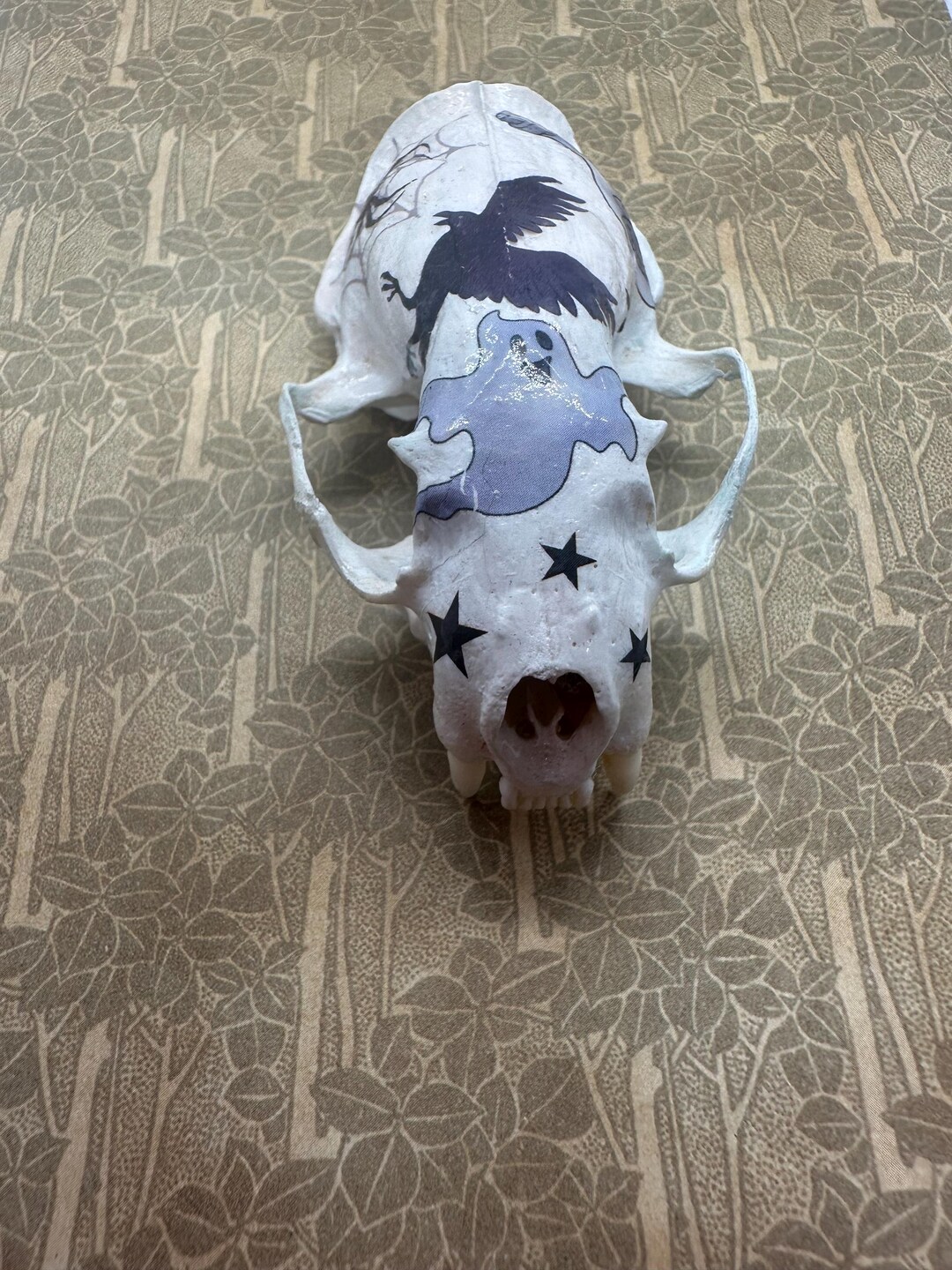 Real Weasel Skull With Spooky Decorations - Etsy