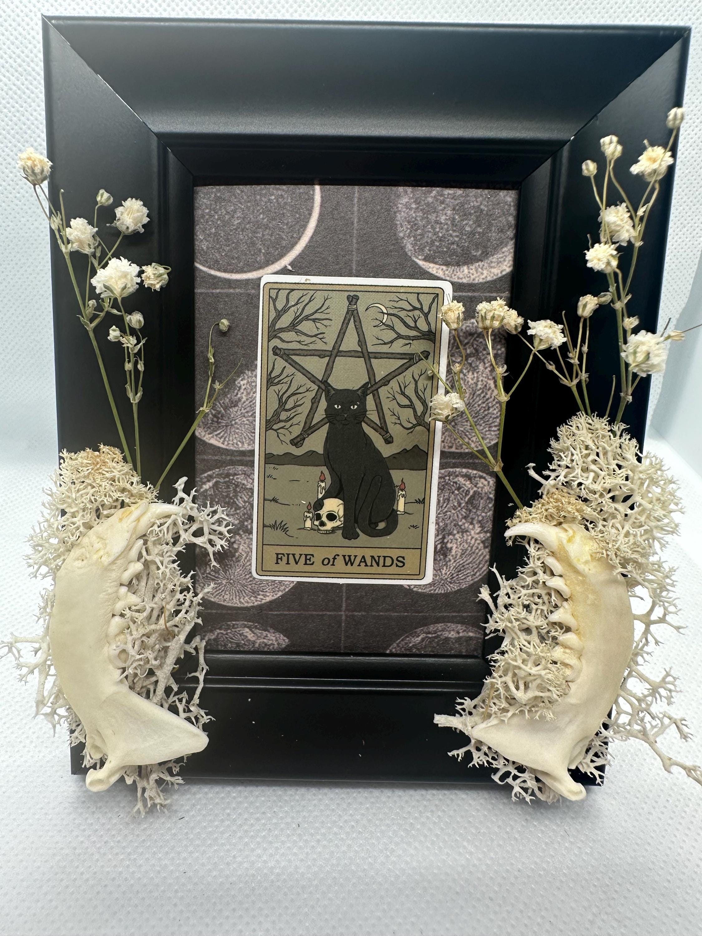 Real Weasel Jaw Bones on Tarot Frame With Real Flowers and Moss - Etsy