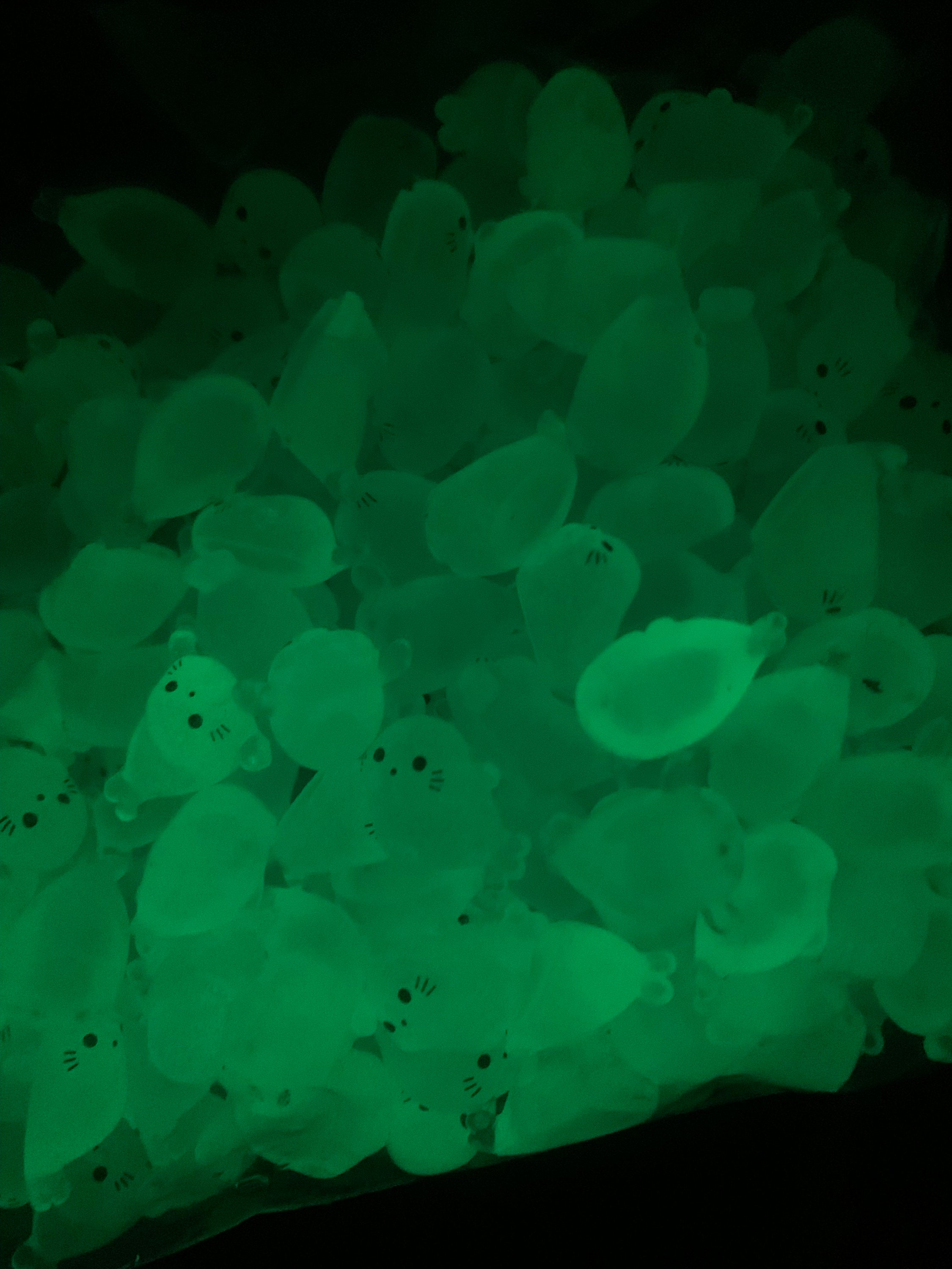 Very Cute Mini Seal in Different Poses Glow-in-the-dark Luminous Charm ...