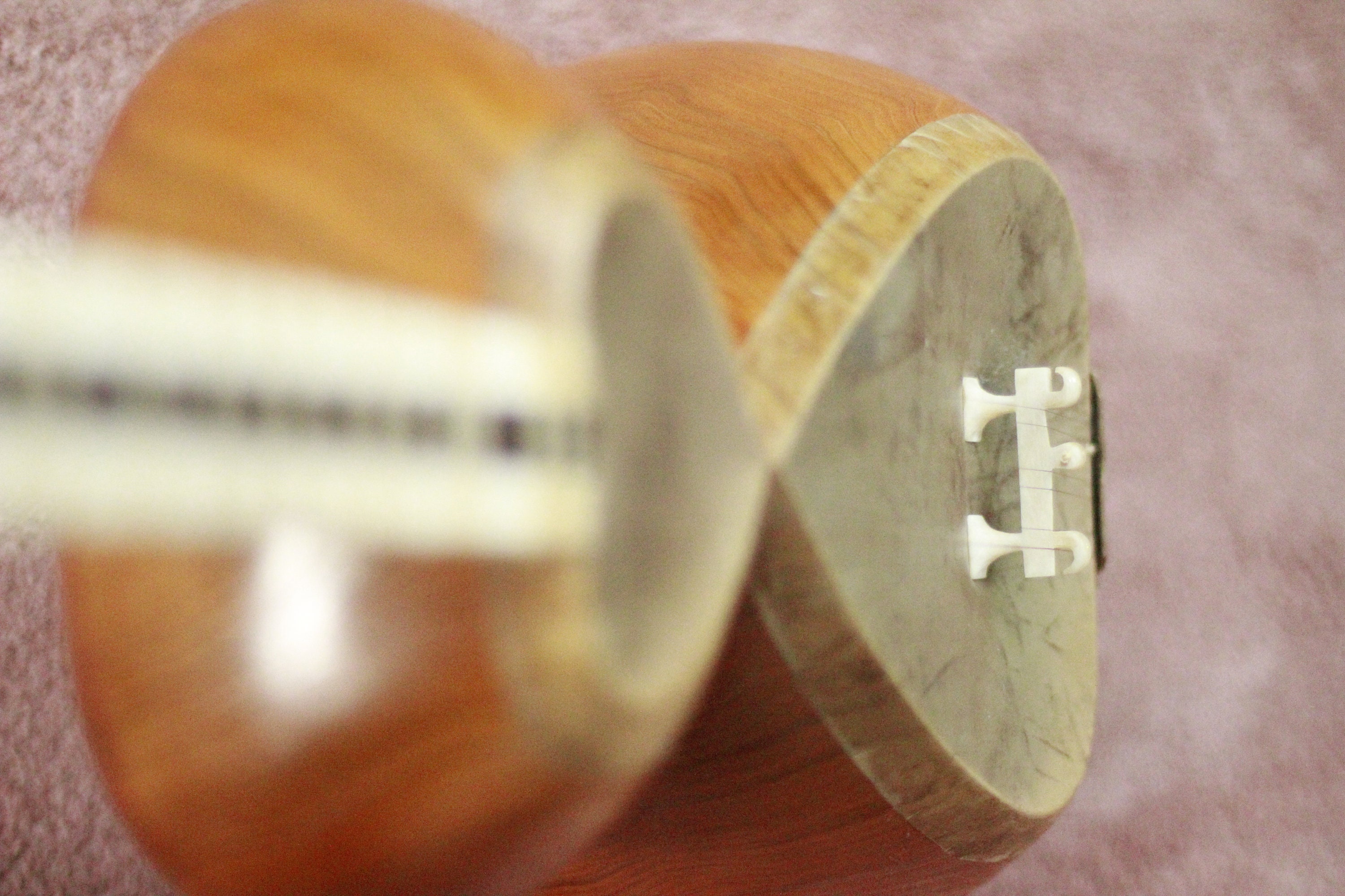 Amin Rahmani's Professional Persian Tar: Maestro-approved, Sound Sample ...