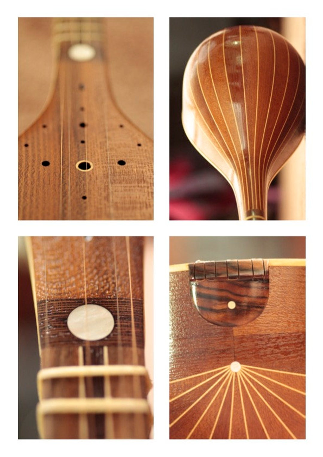 Sabet Kalam's Professional Setar From NETHERLANDS سه تار - Etsy