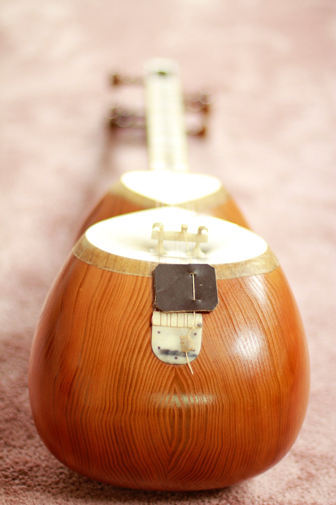 Amin Rahmani's Professional Persian Tar: Maestro-approved, Sound Sample ...