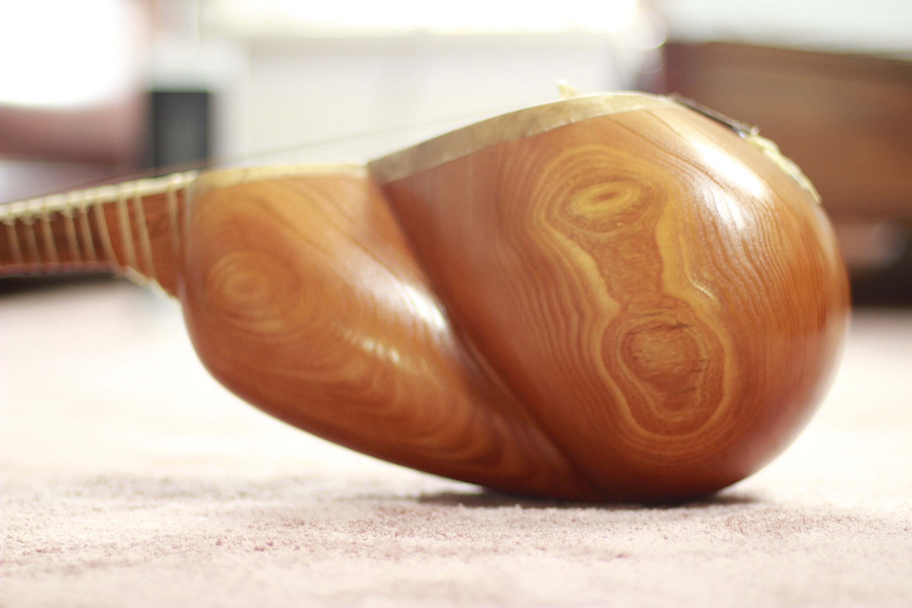 Amin Rahmani's Professional Persian Tar: Maestro-approved, Sound Sample ...