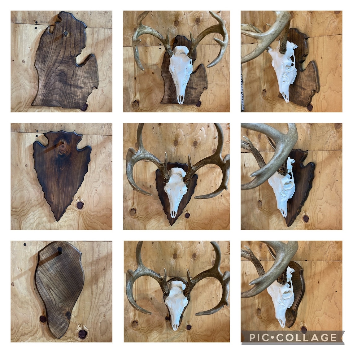 Custom Euro Mount Plaque - Etsy