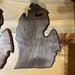 Custom Euro Mount Plaque - Etsy