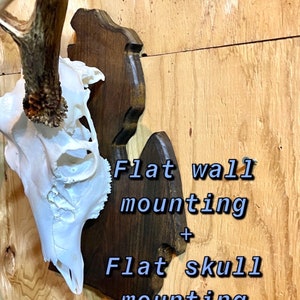 Custom State Euro Mount Plaque - Etsy