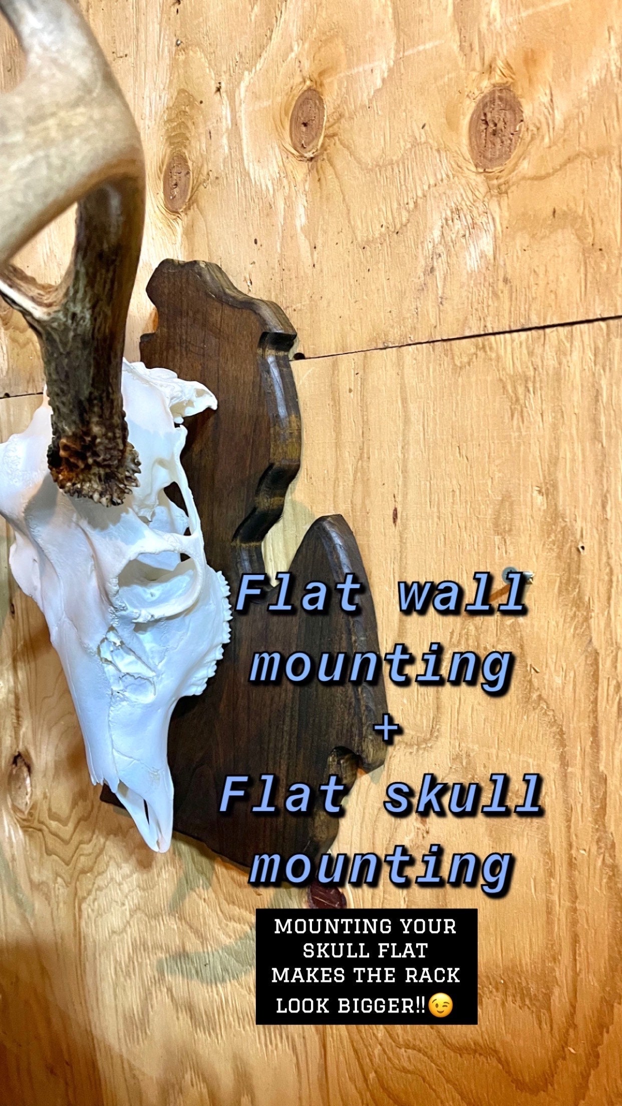 Custom State Euro Mount Plaque - Etsy