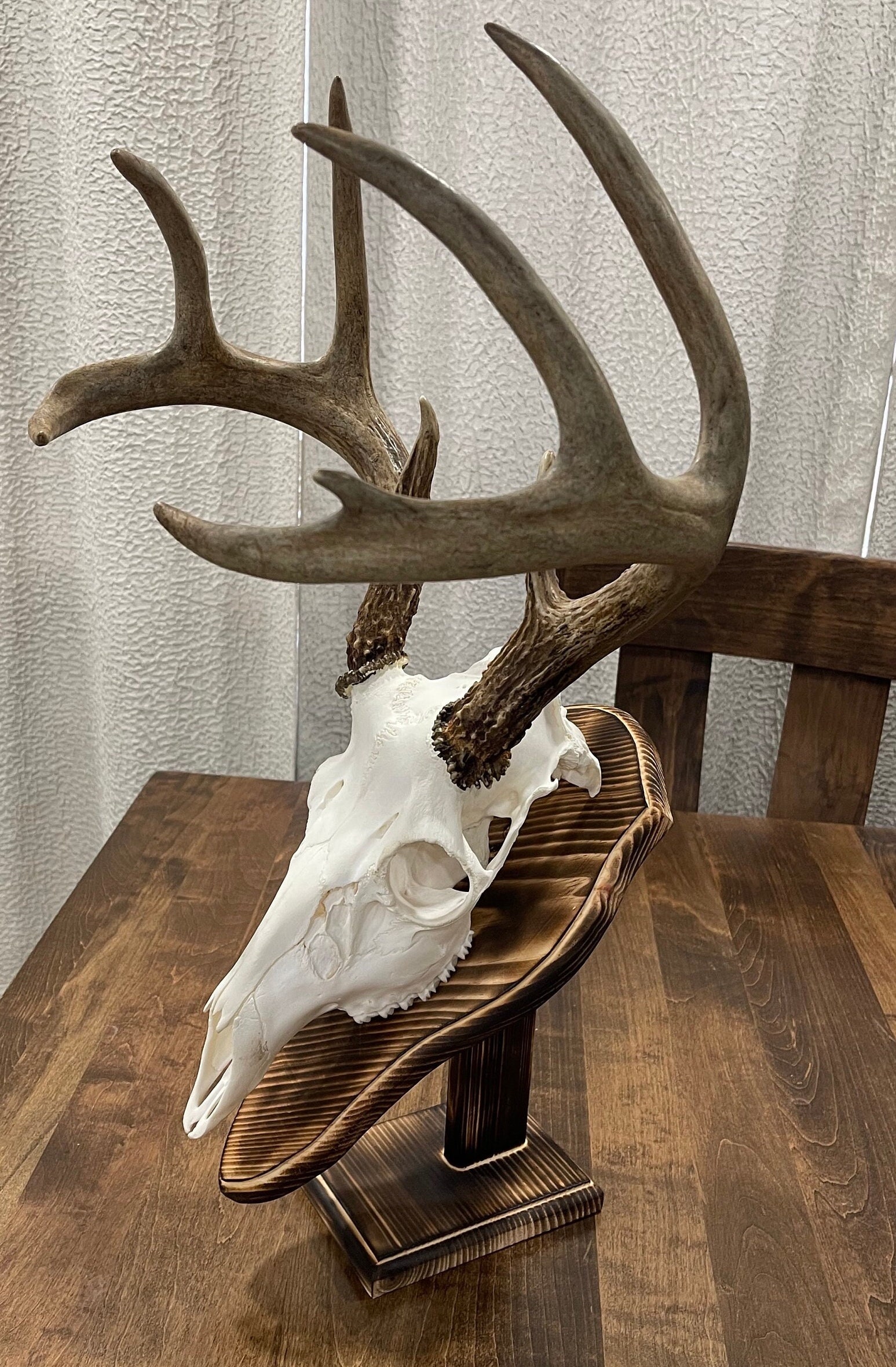 Euro Mount Stand - Etsy