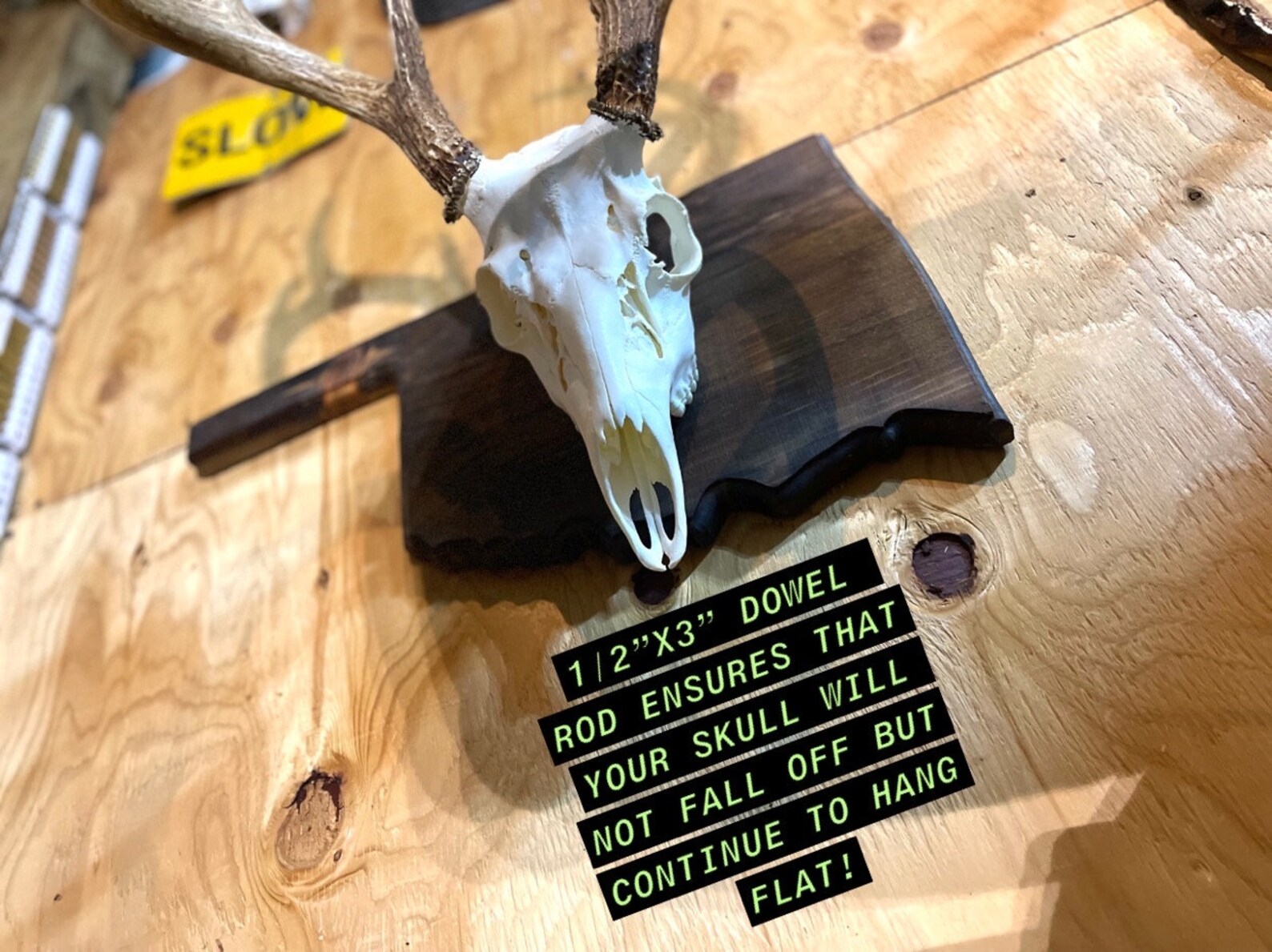 Custom State Euro Mount Plaque - Etsy