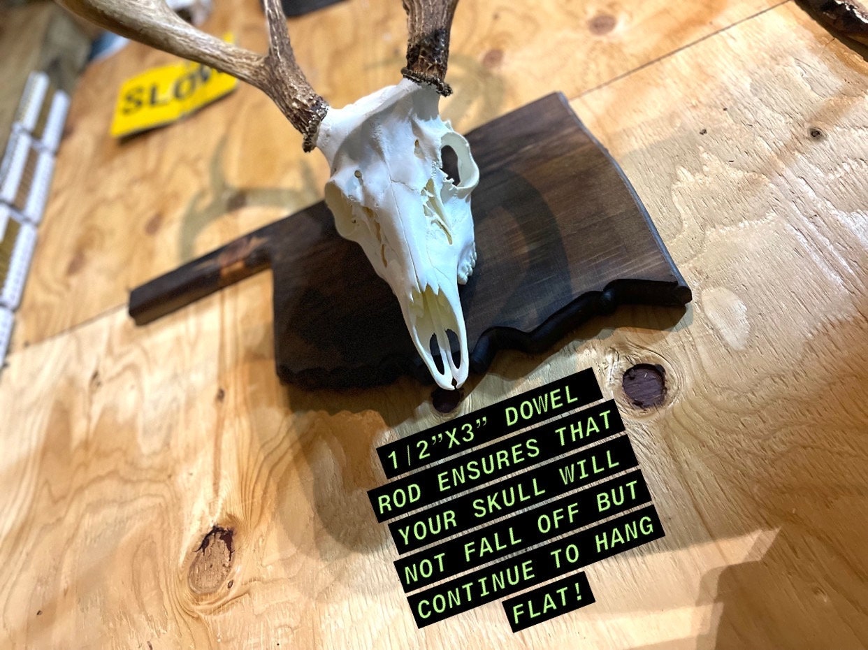 Custom State Euro Mount Plaque - Etsy