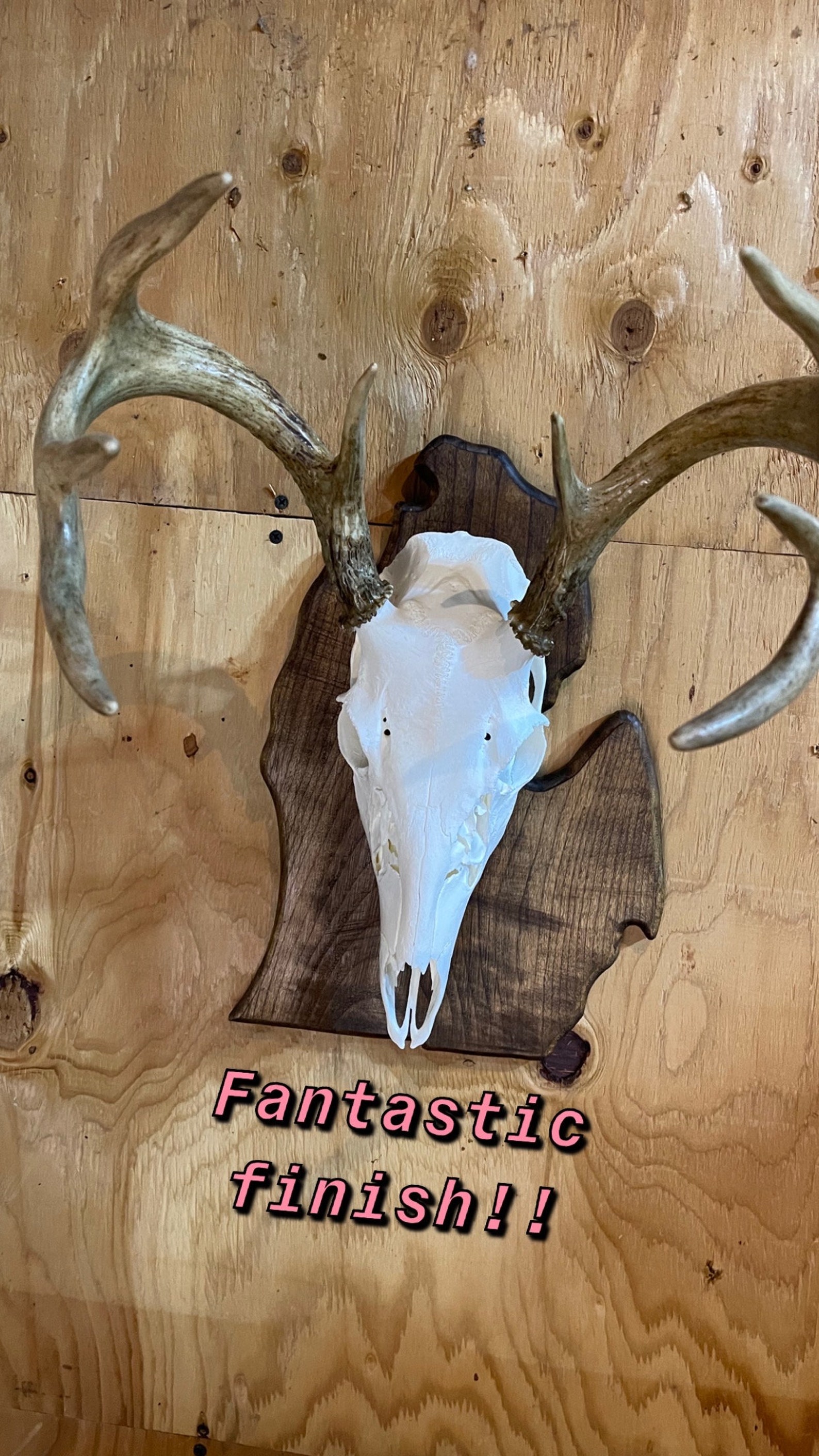 Custom State Euro Mount Plaque - Etsy