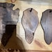 Custom Euro Mount Plaque - Etsy