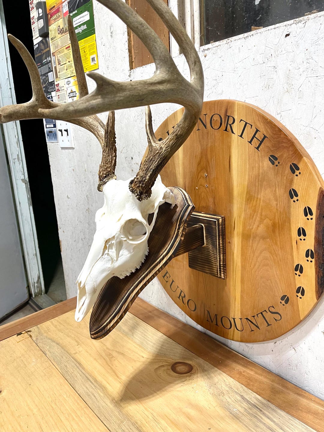 Wall Mounted Euro Mount Display - Etsy