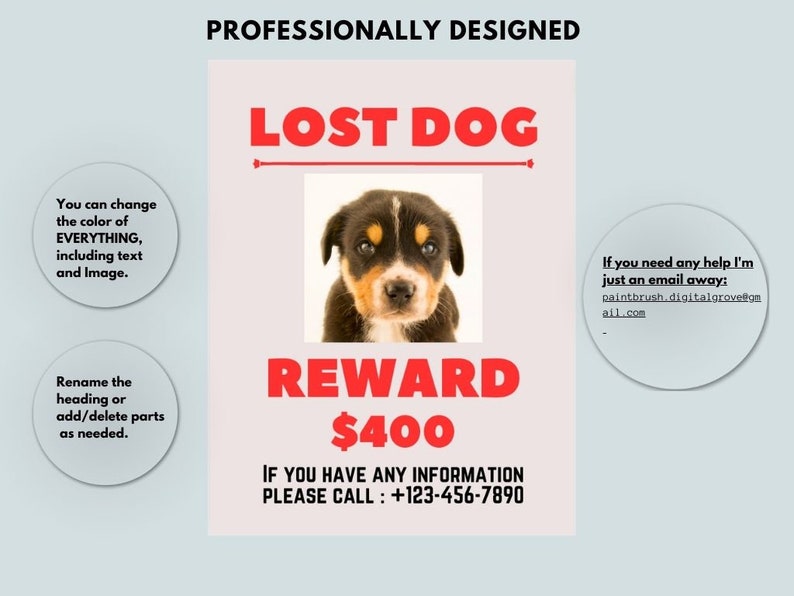 Three Editable Flyers | Missing Cat Sign | Lost Pet Poster | Ten ...