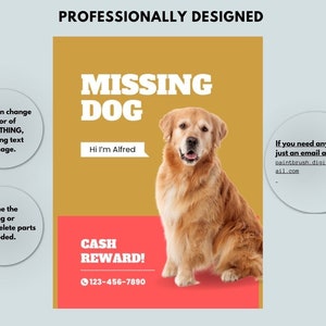 Three Editable Flyers | Missing Cat Sign | Lost Pet Poster | Ten ...