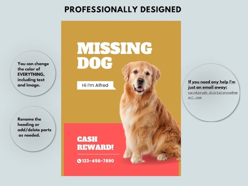 Three Editable Flyers | Missing Cat Sign | Lost Pet Poster | Ten ...