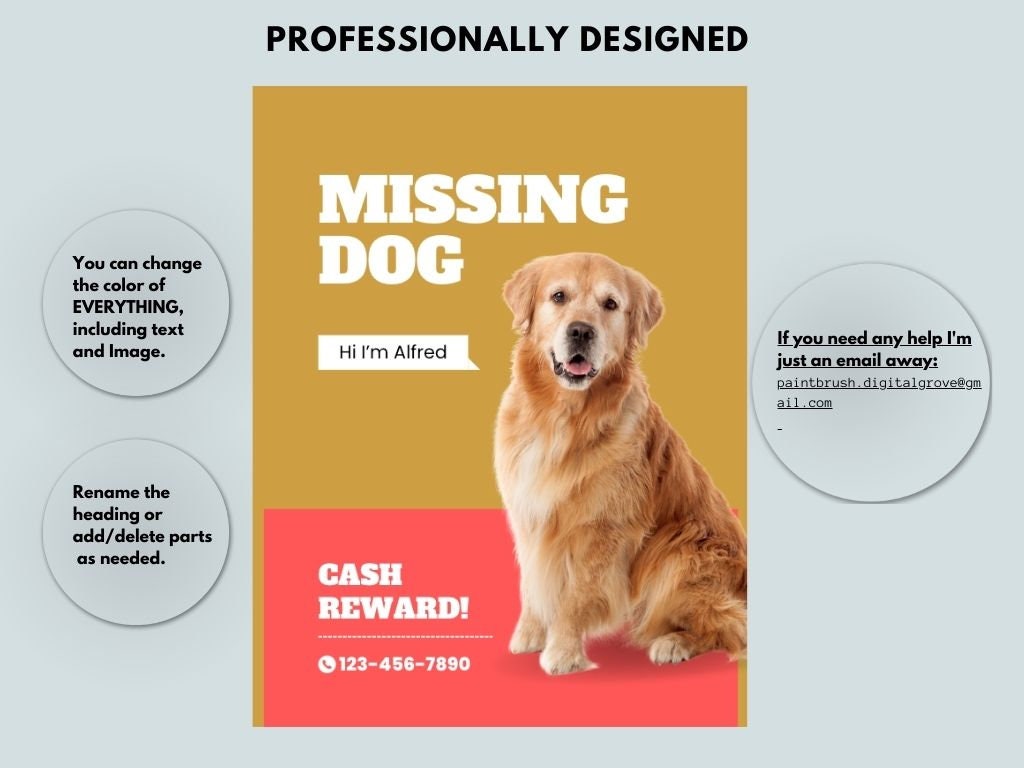 Three Editable Flyers | Missing Cat Sign | Lost Pet Poster | Ten ...