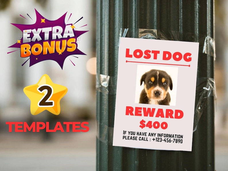 Three Editable Flyers | Missing Cat Sign | Lost Pet Poster | Ten ...