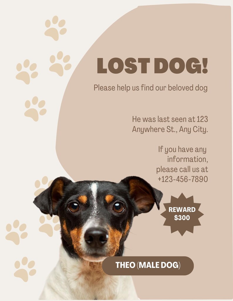 Three Editable Flyers | Missing Cat Sign | Lost Pet Poster | Ten ...