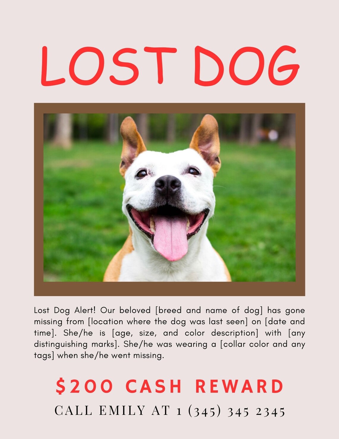 Three Editable Flyers Missing Cat Sign Lost Pet Poster Ten Editable ...