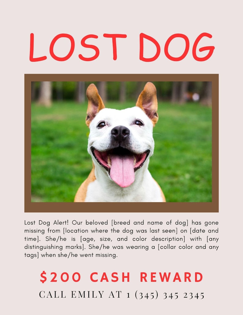 Three Editable Flyers Missing Cat Sign Lost Pet Poster Ten Editable ...