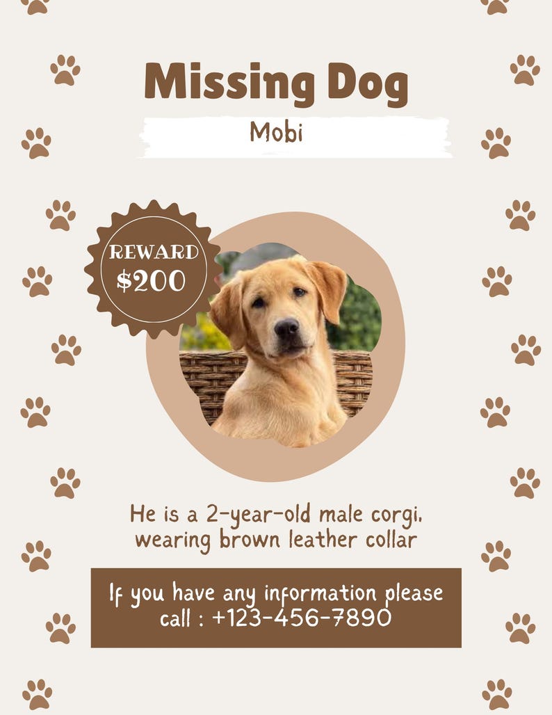 Three Editable Flyers | Missing Cat Sign | Lost Pet Poster | Ten ...