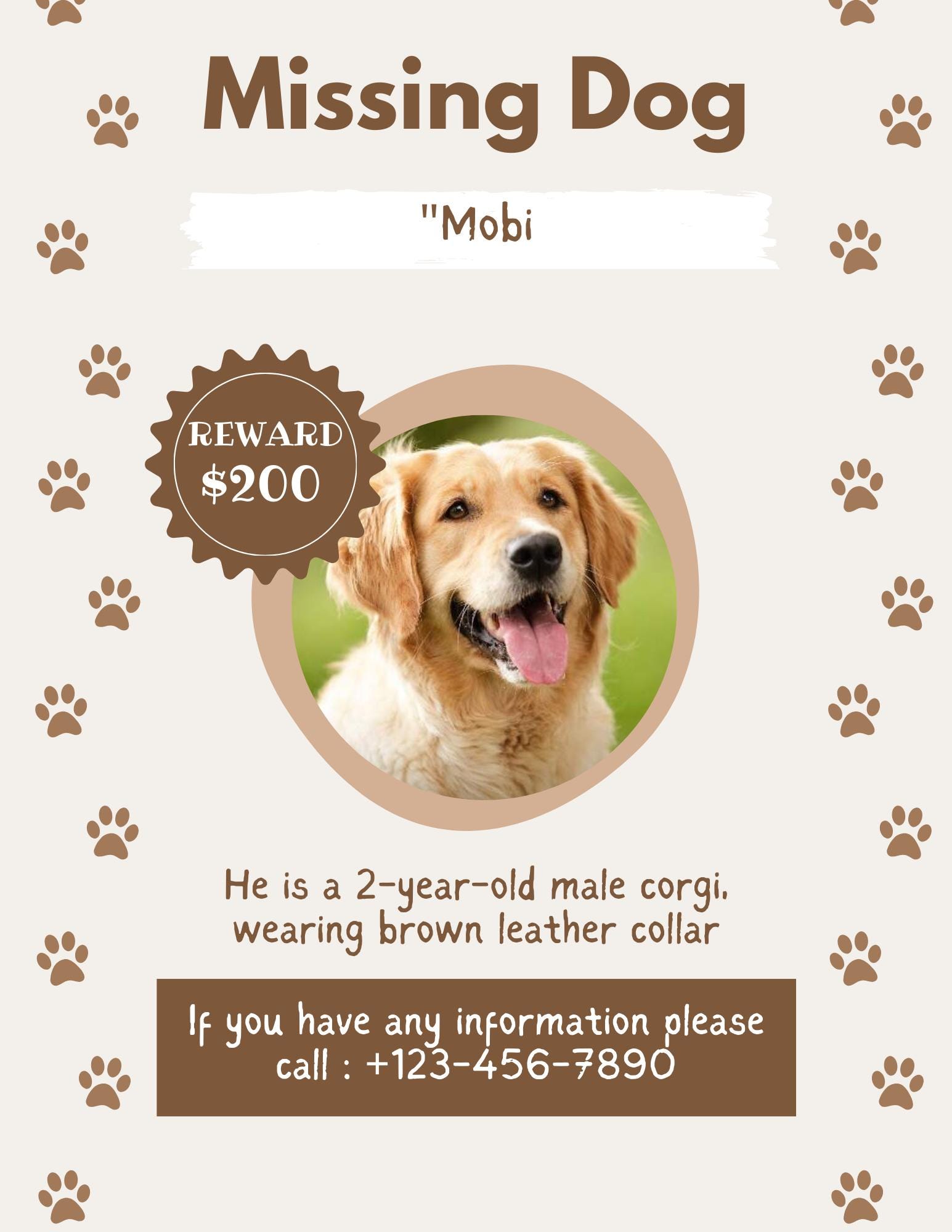 Three Editable Flyers | Missing Cat Sign | Lost Pet Poster | Ten ...