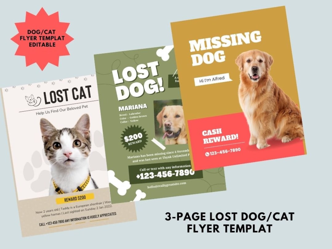 Three Editable Flyers | Missing Cat Sign | Lost Pet Poster | Ten ...