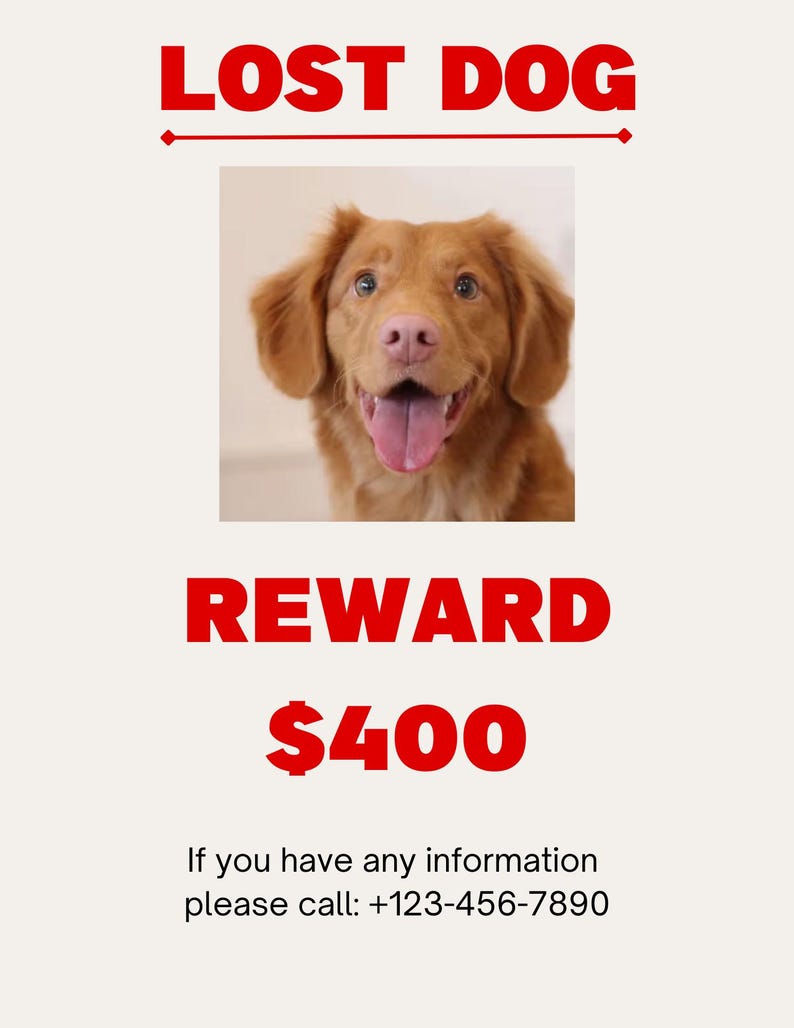 Three Editable Flyers | Missing Cat Sign | Lost Pet Poster | Ten ...