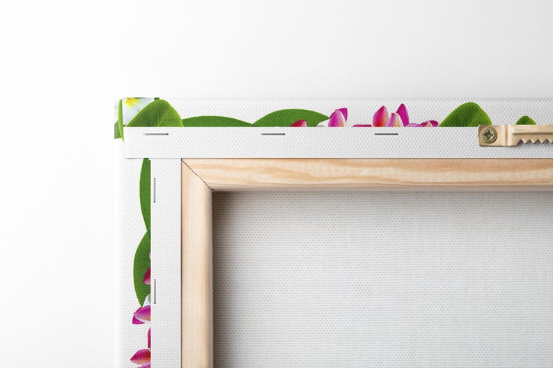 Framed Canvas Art Print Giclee or Poster. Dense Cover Whitetail Deer ...