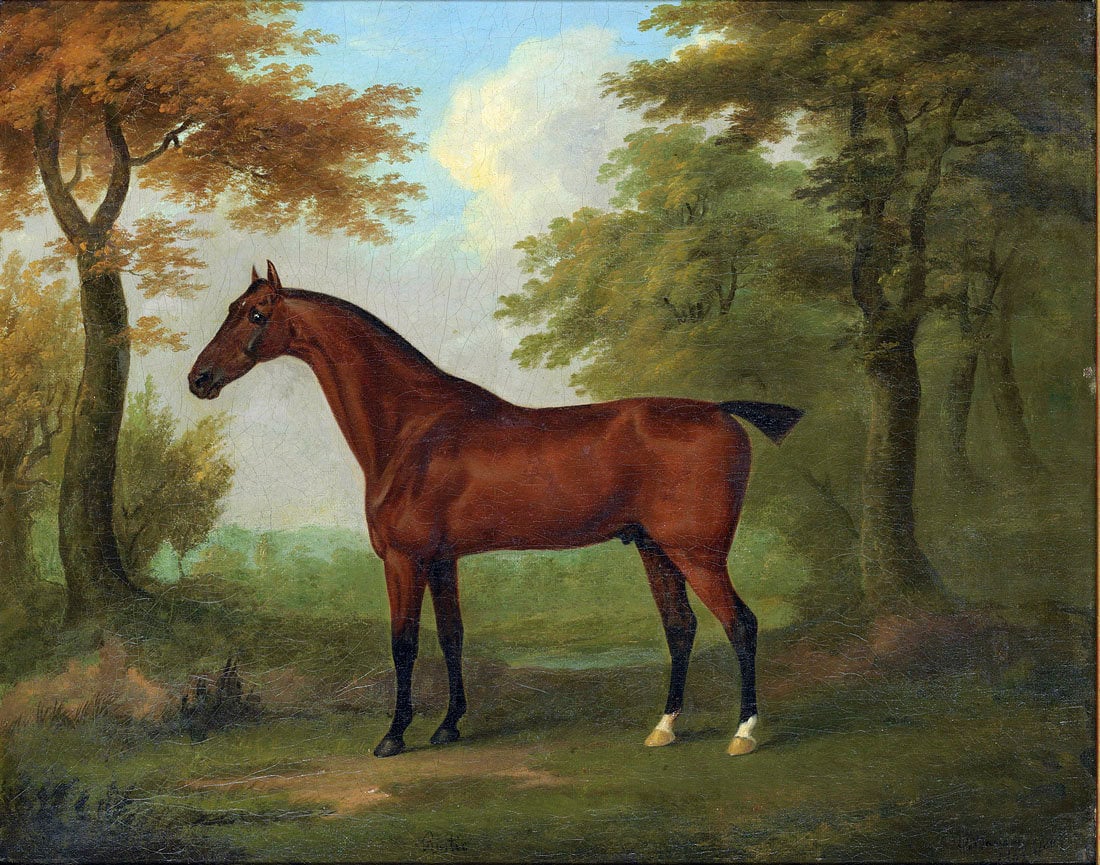 24"x18" John Nost Sartorius Rustic a Bay Hunter in a Wooded Landscape ...