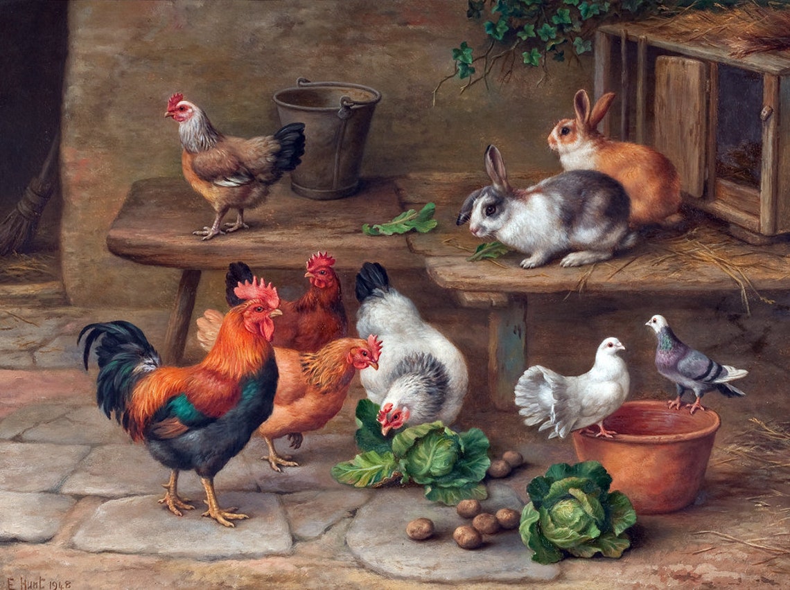 24"x18" EDGAR HUNT Rabbits, Chickens, and Pigeons, Farm Animals Ultra ...