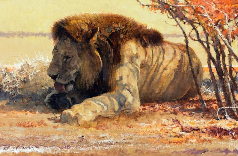 Framed Canvas Fine Art Print Giclee or Poster. Kuhn. Nomad. Lion's ...