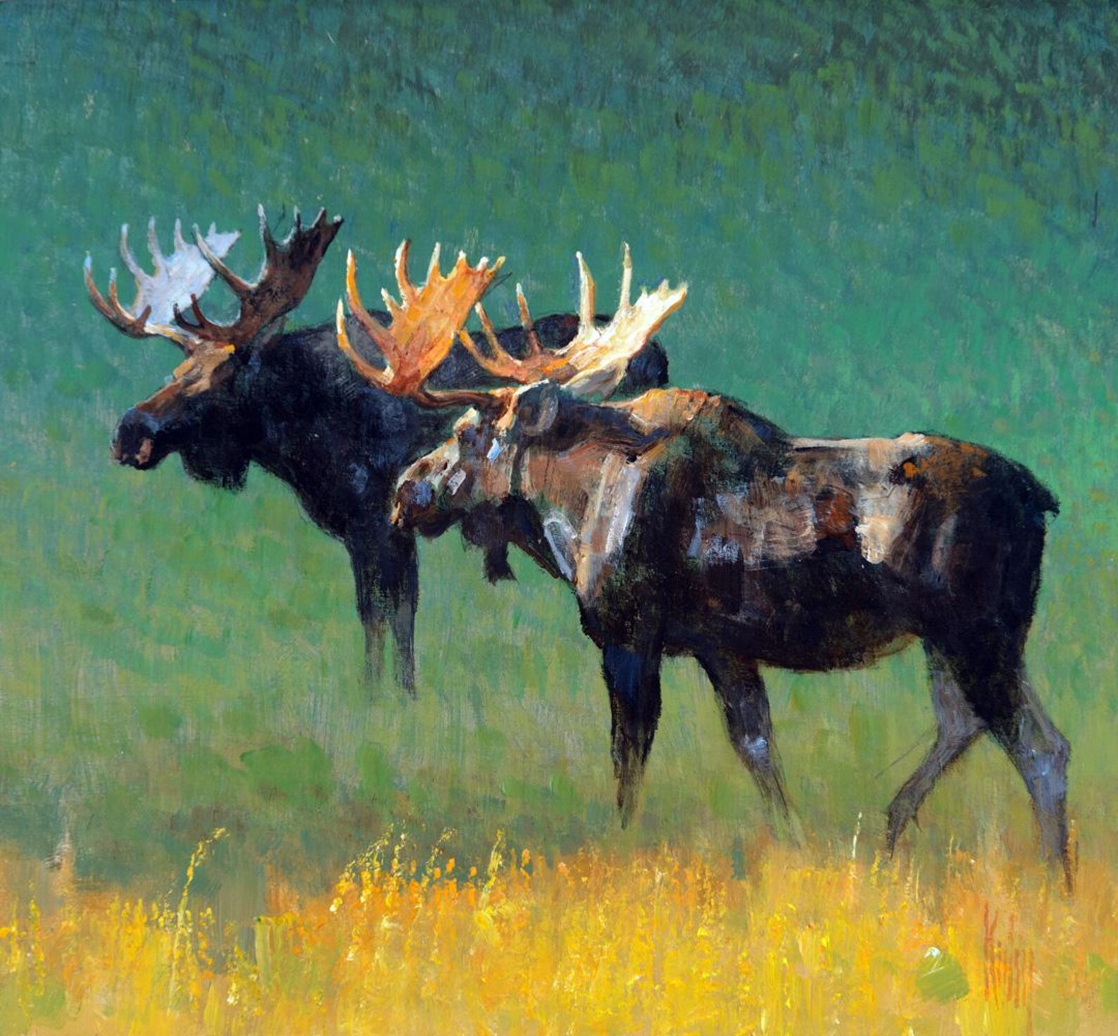 Framed Canvas Fine Art Print Giclee or Poster. Kuhn. Moose on Green ...