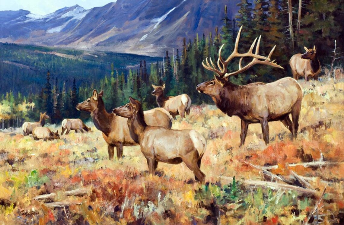 Framed Canvas Art Print Giclee or Poster. Elk Family Deer Wildlife ...