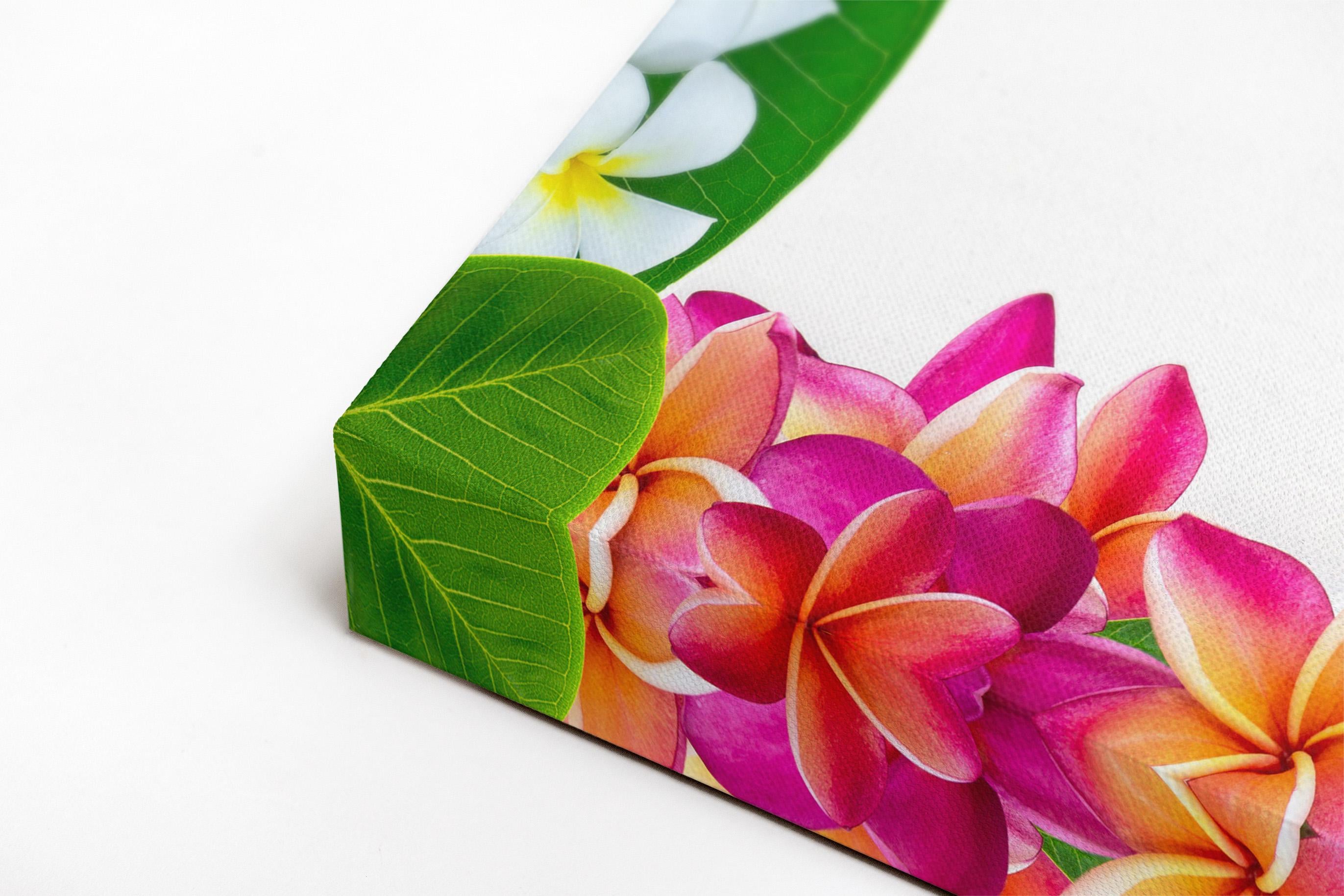 Framed Canvas Fine Art Print Giclee or Poster. up Close and Personal ...