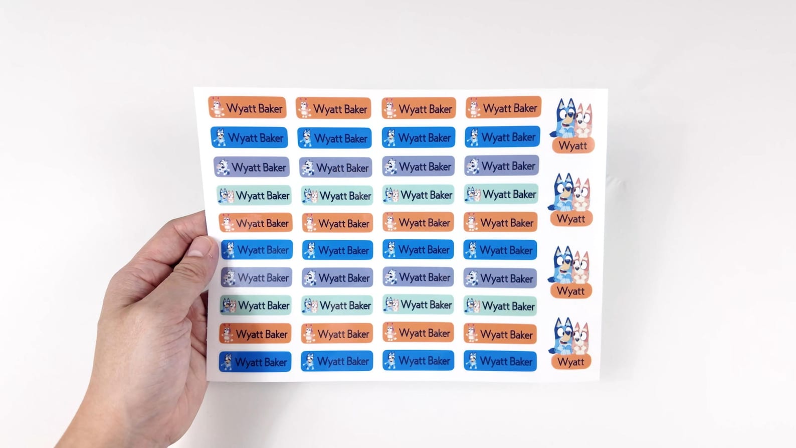 88 Pcs Bluey Waterproof Name Sticker, Daycare Label, School Supply ...
