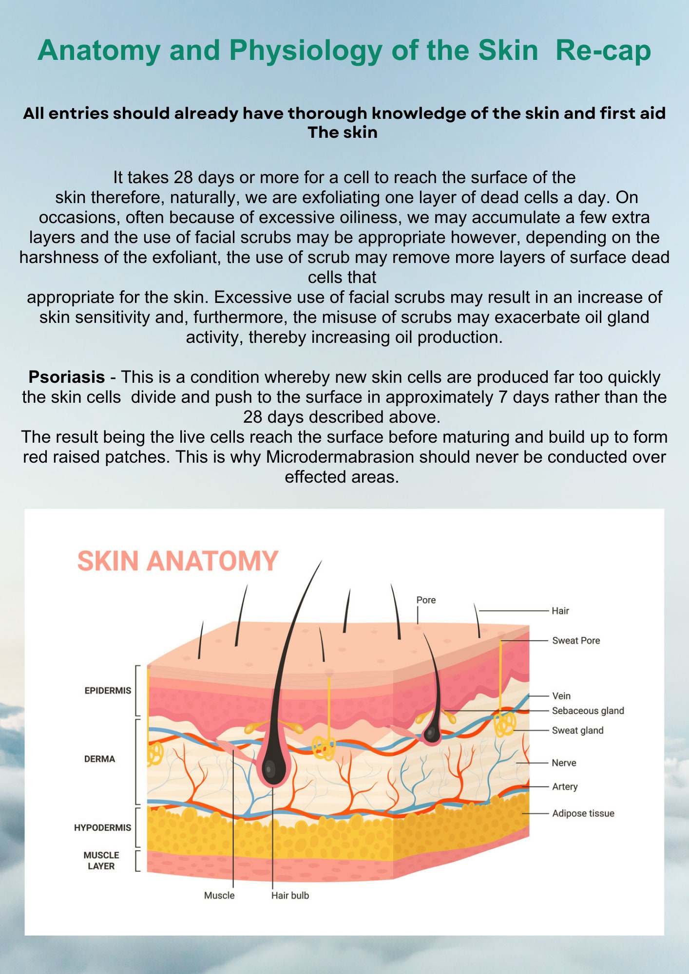 Anatomy & Physiology of the Face Training Manual Editable Tutors ...