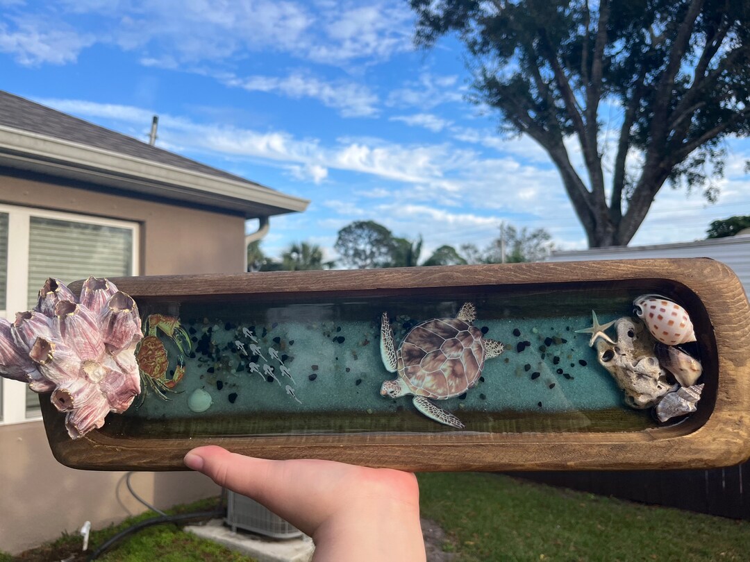 Sea Turtle & Barnacle Dough Bowl - Etsy