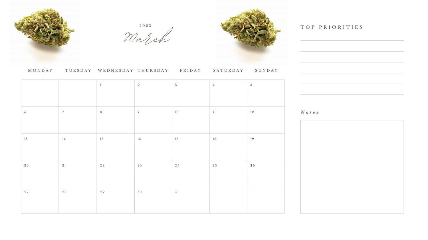 Printable Cannabis 2023 Calendar Instant Download - Etsy