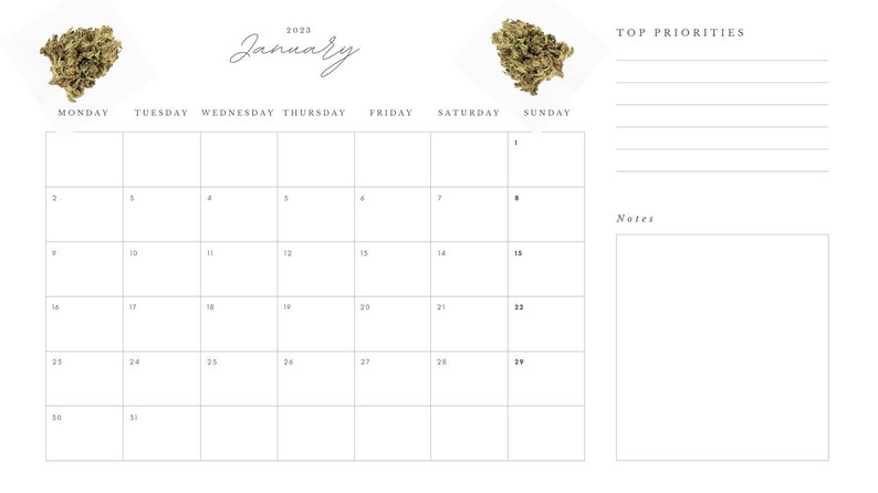 Printable Cannabis 2023 Calendar Instant Download - Etsy