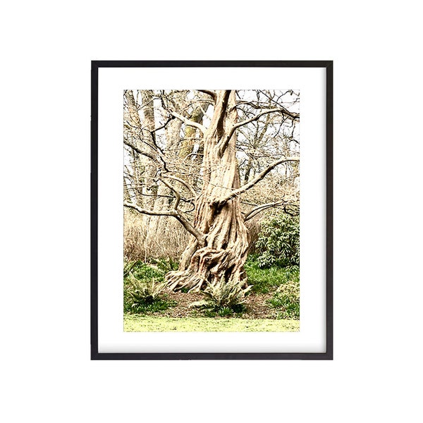 Gnarly Trees - Etsy