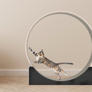 Cat Wheel Cat Toy Exercise Wheel Cute Cat Furniture Circular Treadmill ...