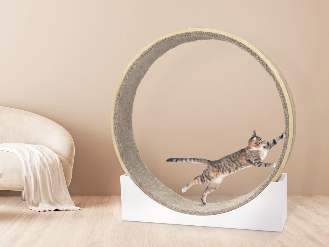 Cat Wheel Cat Toy Exercise Wheel Cute Cat Furniture Circular Treadmill ...