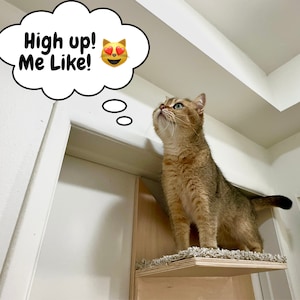 Door Cat Tree Cat Door Hanging Shelf Cat Climbing Tree Cat Bed Cat ...